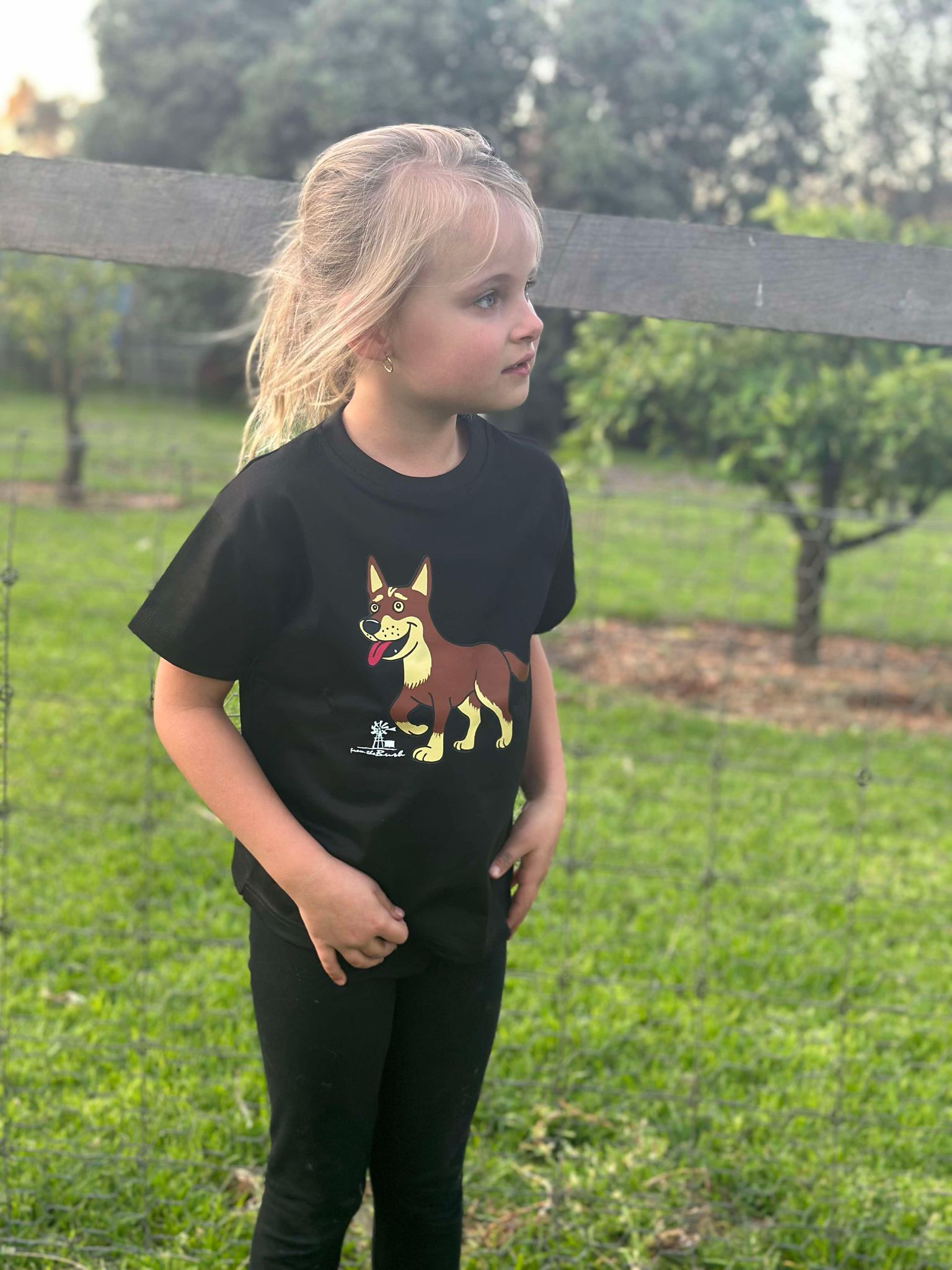 New Arrivals | Australia's Page & AMC